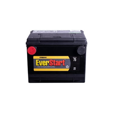 EverStart Lead Acid Marine & RV Deep Cycle Battery, Group Size 27DC (12 ...