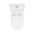 Calice Elongated Two-Piece Toilet with Tank Bowl, Rear Outlet, Dual ...