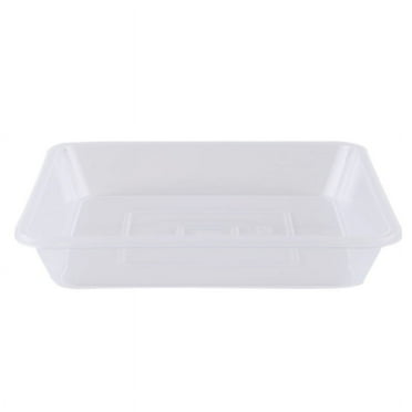 9GreenBox - Indoor Bonsai Humidity Drip Tray 8" x 10" with Pebbles ...
