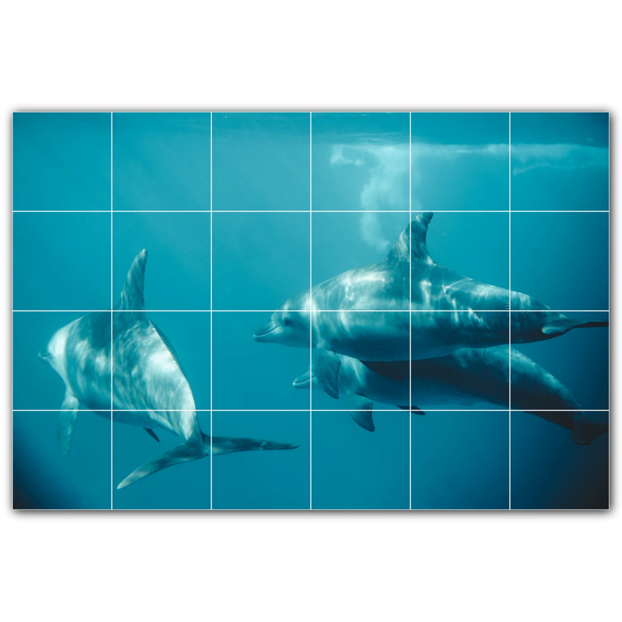 Picture-Tiles.com: Dolphin Ceramic Tile Wall Mural WAL500526-64XL. 72"W ...