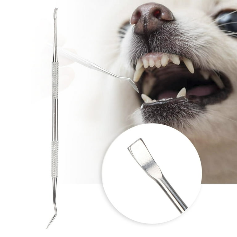 Dog Teeth Cleaning Tools