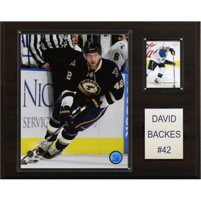 C & I Collectables 1215BACKES NHL David Backes St. Louis Blues Player ...