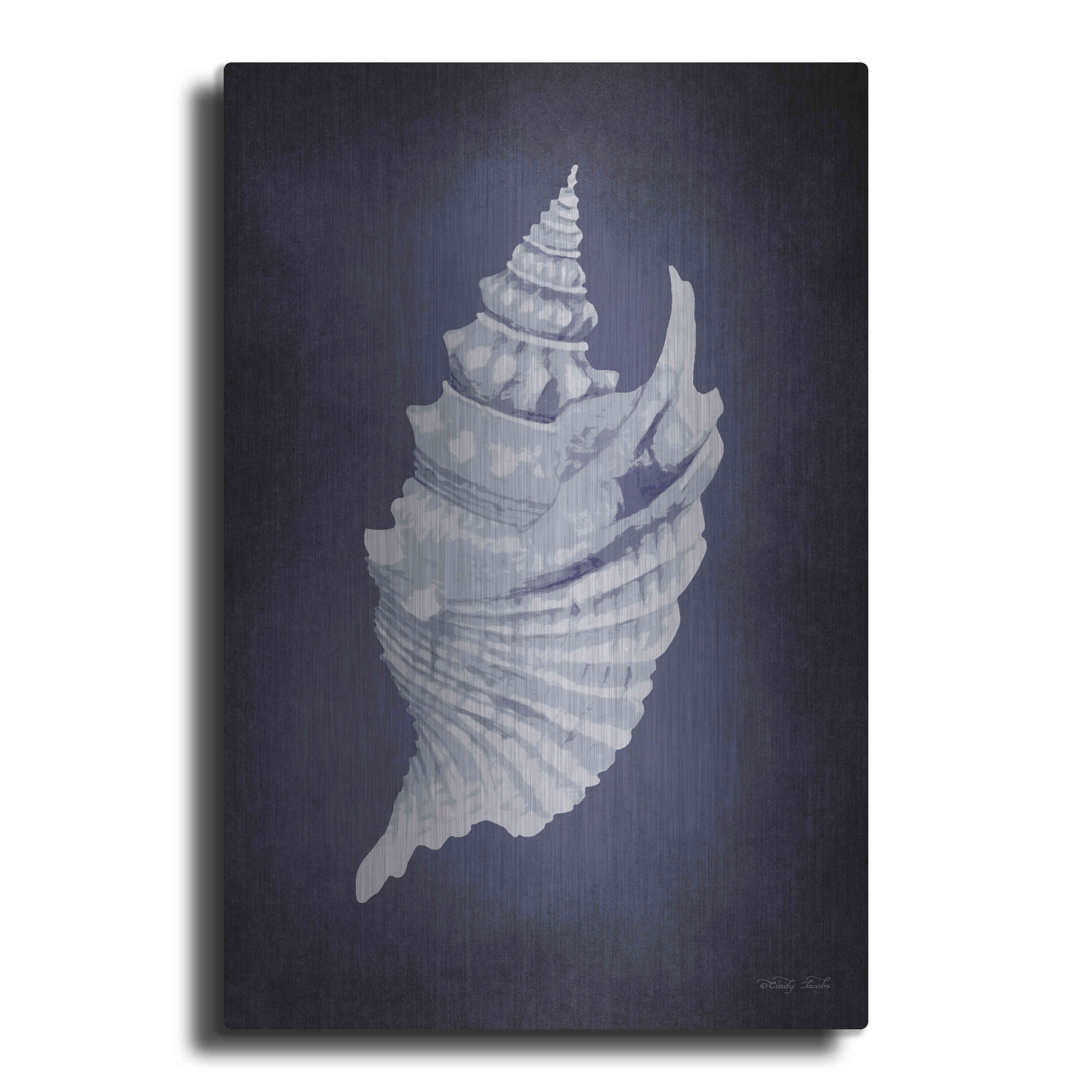 Luxe Metal Art 'Blue Seashell I' by Cindy Jacobs, Metal Wall Art, 16 ...