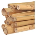 Hydrofarm HGBB6 6' Natural, pack of 25 Bamboo Stake, Tan Bamboo Stakes ...