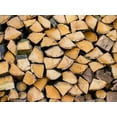 Assaf Frank 14x12 Black Modern Wood Framed Wall Art Titled - Wood logs ...