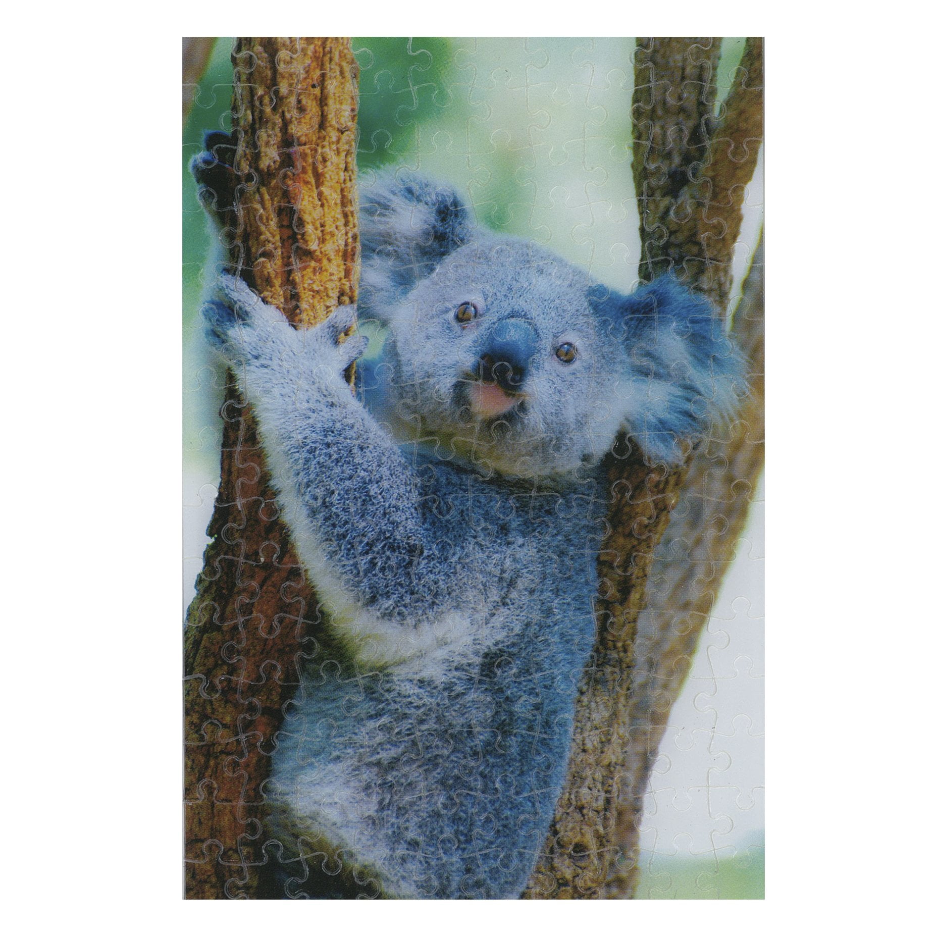 A Koala - Walmart.com
