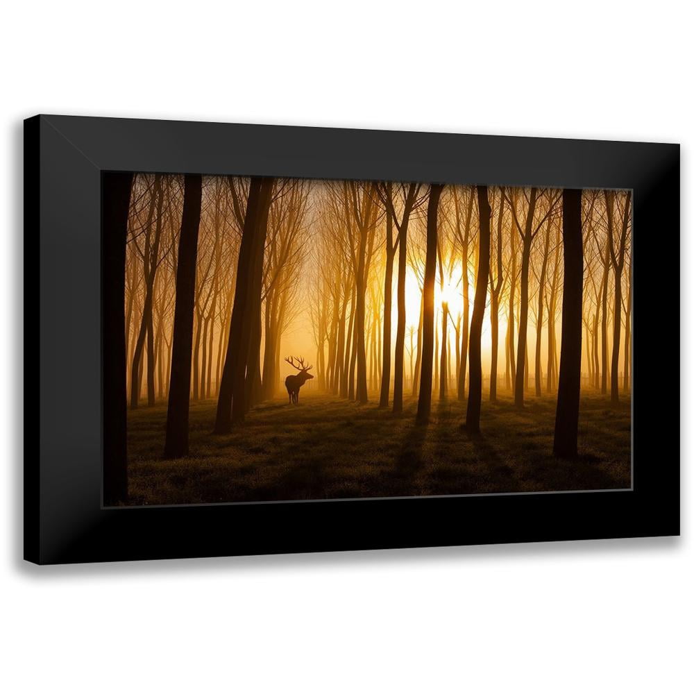 Norim, Nafets 14x10 Black Modern Framed Museum Art Print Titled - Once ...