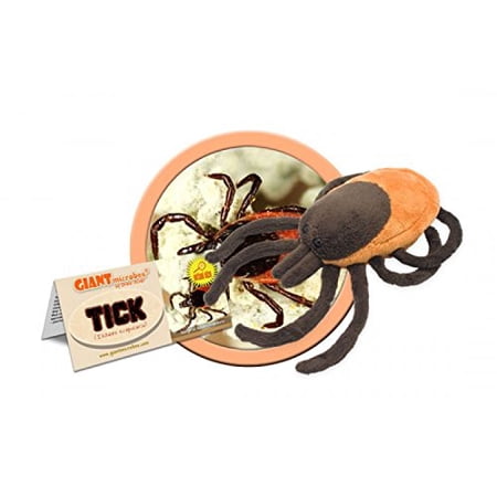 Giant Microbes Tick Ixodes Scapularis Plush Toy | Walmart Canada