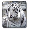 White Tiger double toggle switch lsp-345-2 - Walmart.com