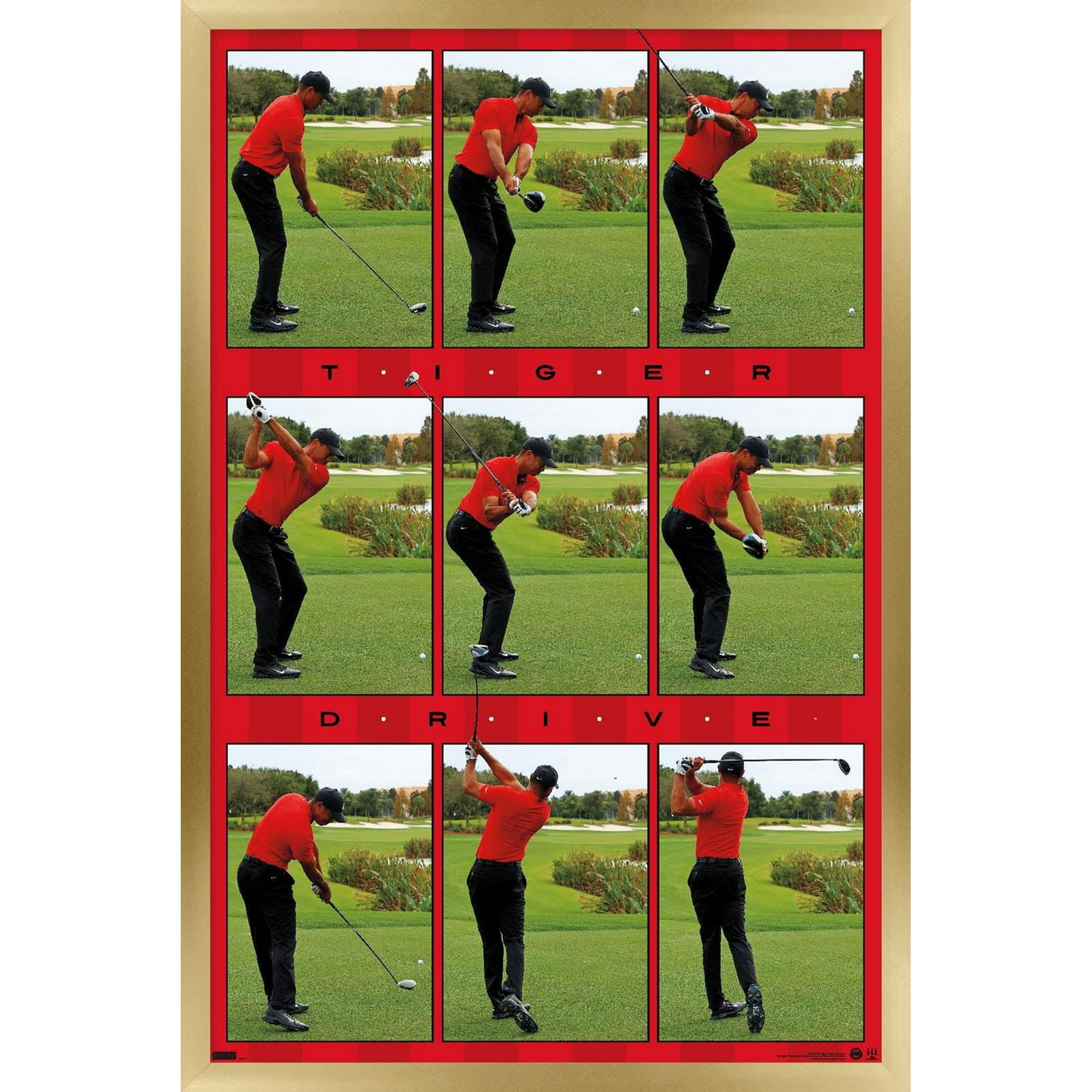 Click here for Trends International Tiger Woods - Drive Wall Post... prices