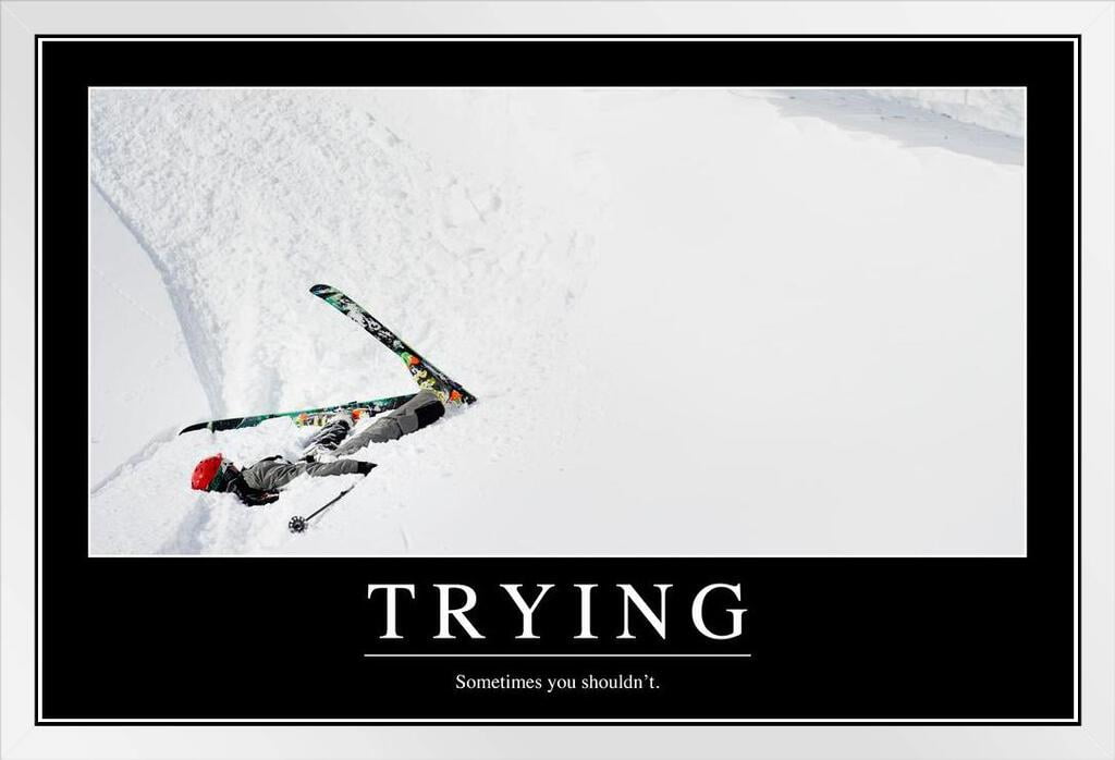 Trying Sometimes You Shouldnt Funny Demotivational White Wood Framed ...