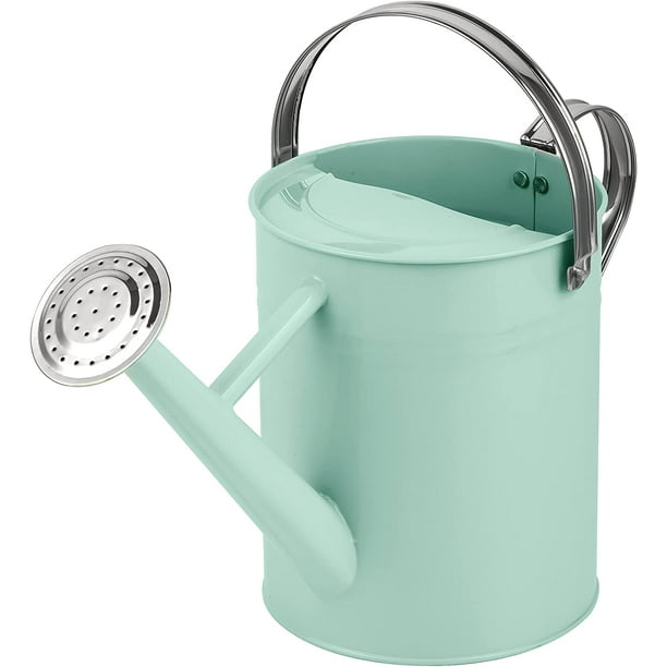 Watering Can - Metal Watering Can With Removable Spout, Perfect Plant ...