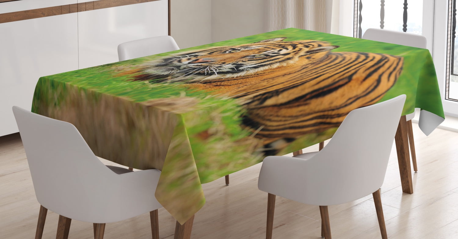 Ambesonne Tiger Tablecloth Rectangular Table Cover, Sumatran Feline ...