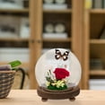 Eease Glass Dome Display Case with Base - 12cm Mini Flower Jar Cloche ...