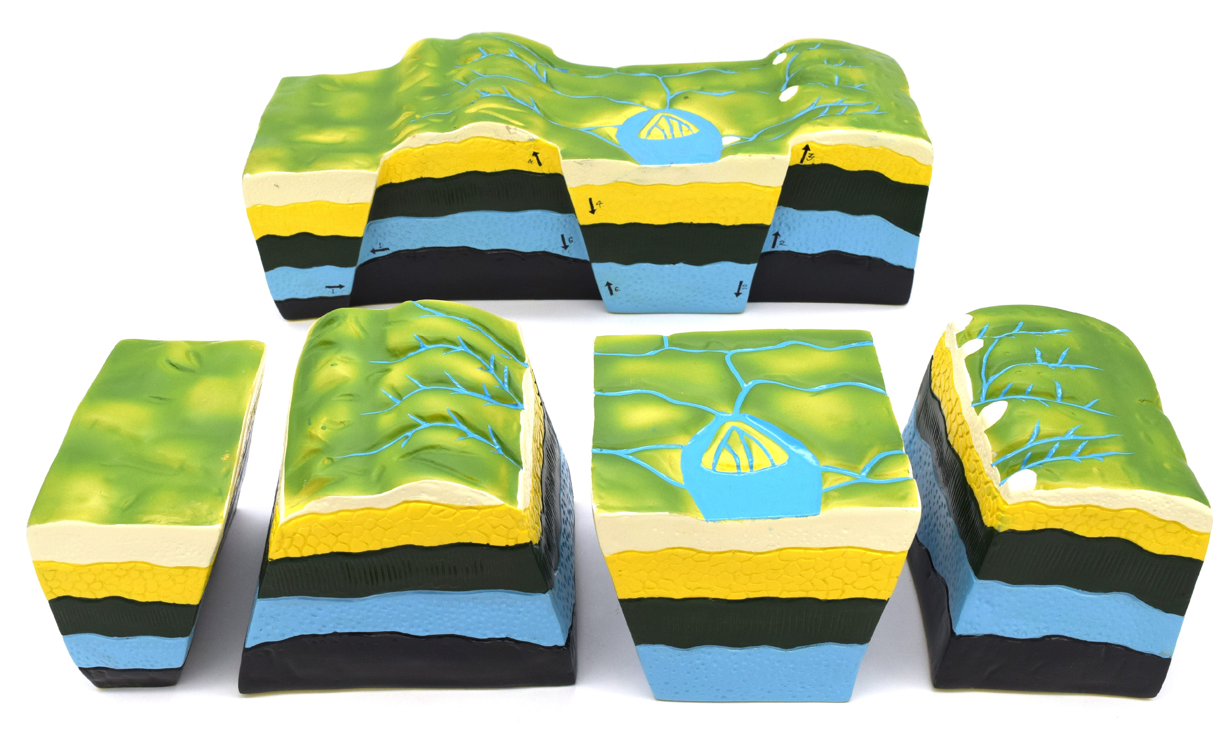 Fact & Fault Model - Geology Tectonics Study Model - Eisco Labs ...