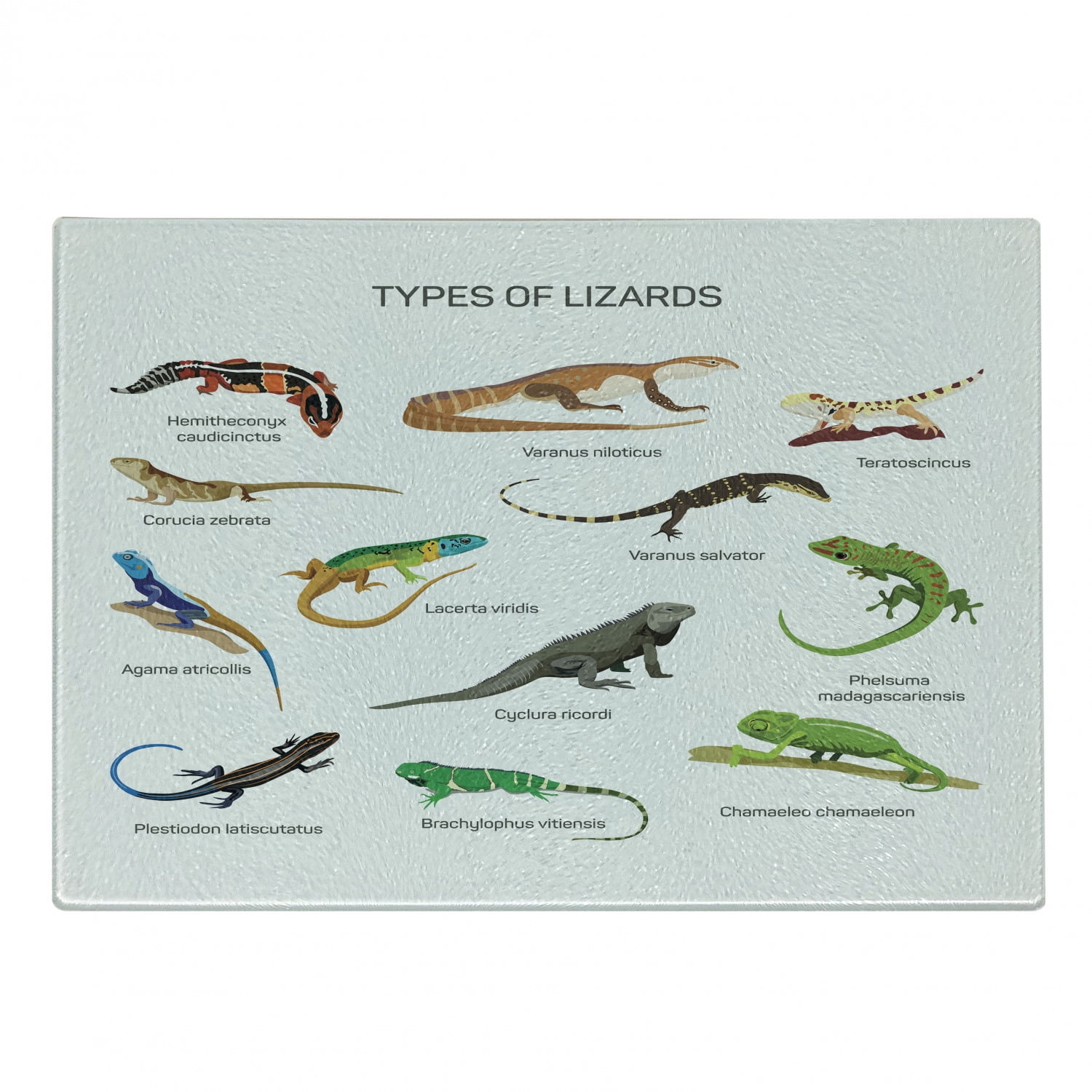 Reptile Cutting Board, Lizard Family Design on Plain Background ...