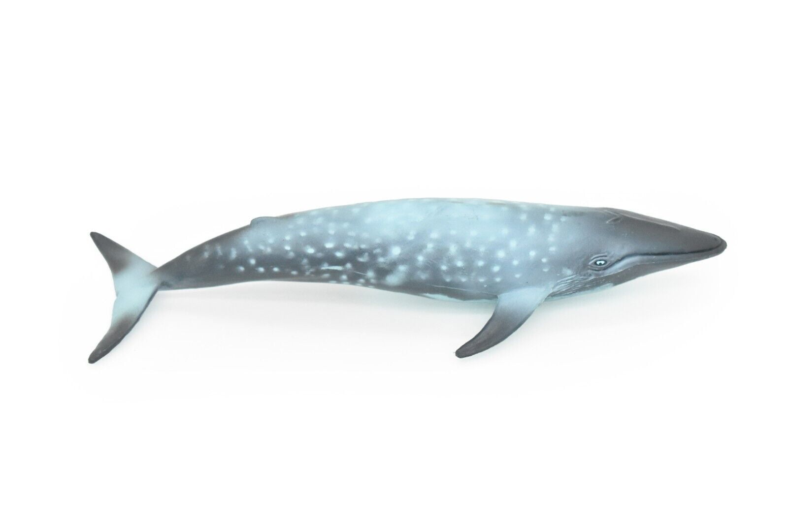 Blue Whale, Marine Mammal, Realistic Rubber Figure, Model, Hand Painted ...