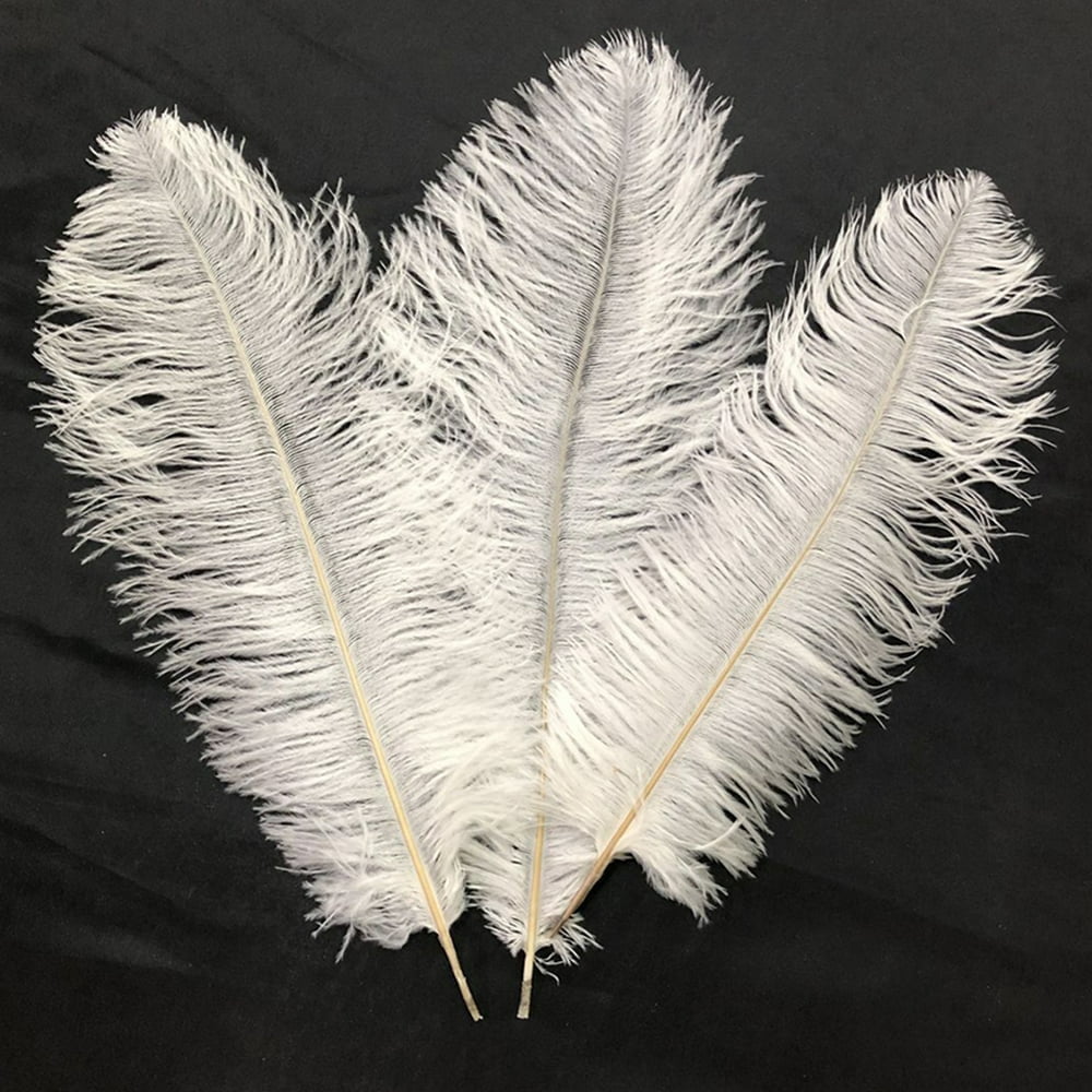 Click here for Generic 5/10/25pcs Soft Ostrich Feathers Plumes Co... prices