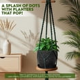 - Spotty Plant Pots Indoor with Drainage - 7/6.6/6/5.3/4.8 Inches ...