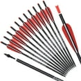 "ELONG OUTDOOR Hunting 20"" Carbon Arrows Crossbow Bolts +12 Red ...