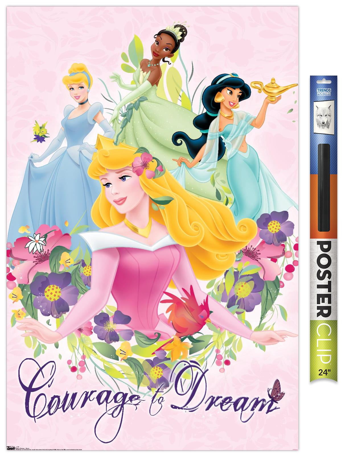 Disney Princess - Courage and Dream Wall Poster, 22.375" x 34 ...