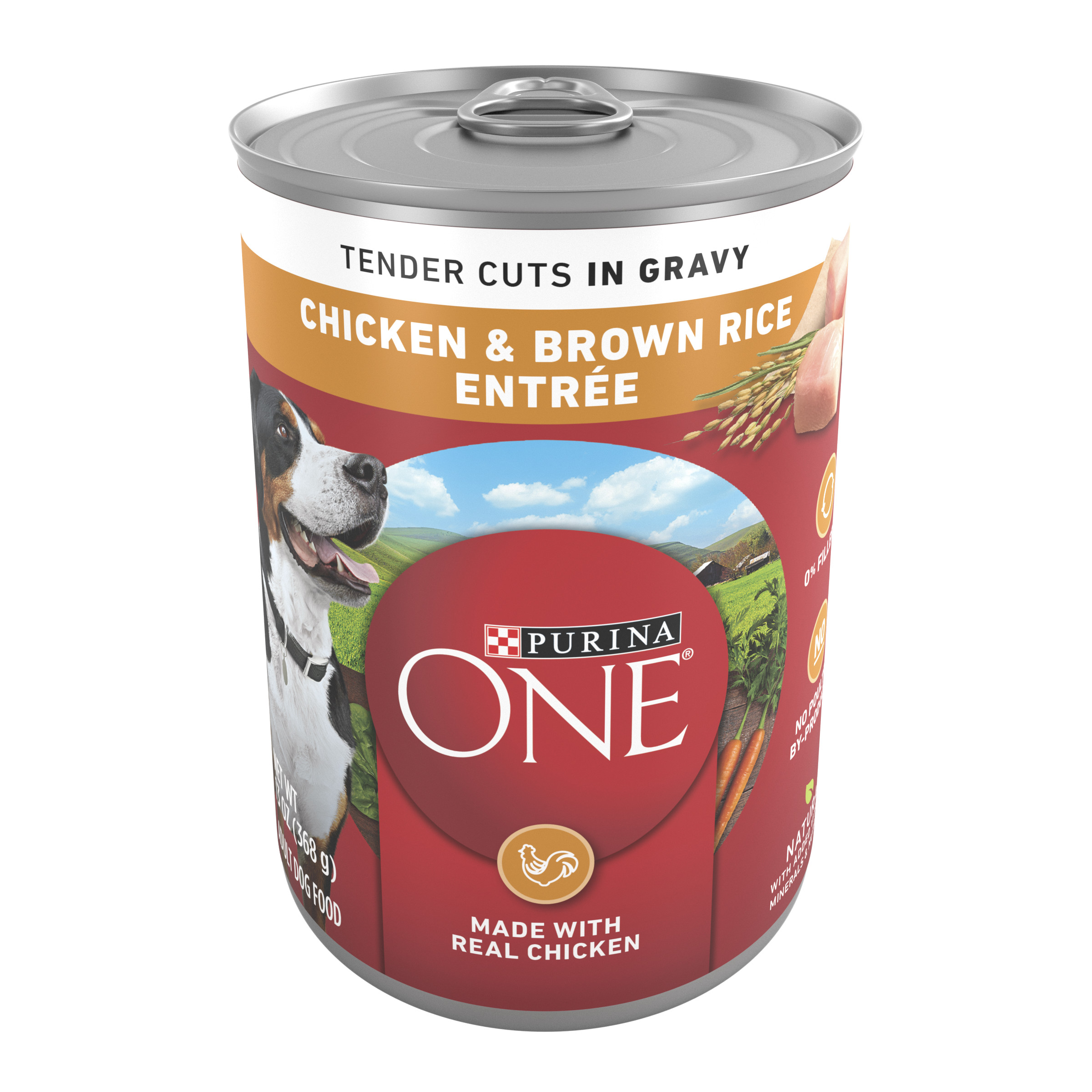 Purina ONE Tender Cuts In Gravy Natural High Protein Wet Dog Food Gravy