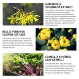 BEUKING Pore Skin Care Serum, Facial Essence for Shrinking Pores, Hydration, Oil Control, 0.53 ...