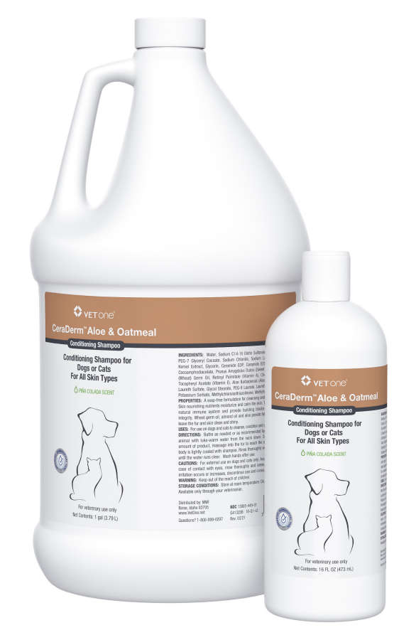 CeraDerm Aloe & Oatmeal Conditioning Shampoo (1 Gallon) - Walmart.com