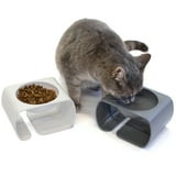 Kitty City Dishwasher Safe Plastic Raised Whisker-Friendly Cat Bowls ...