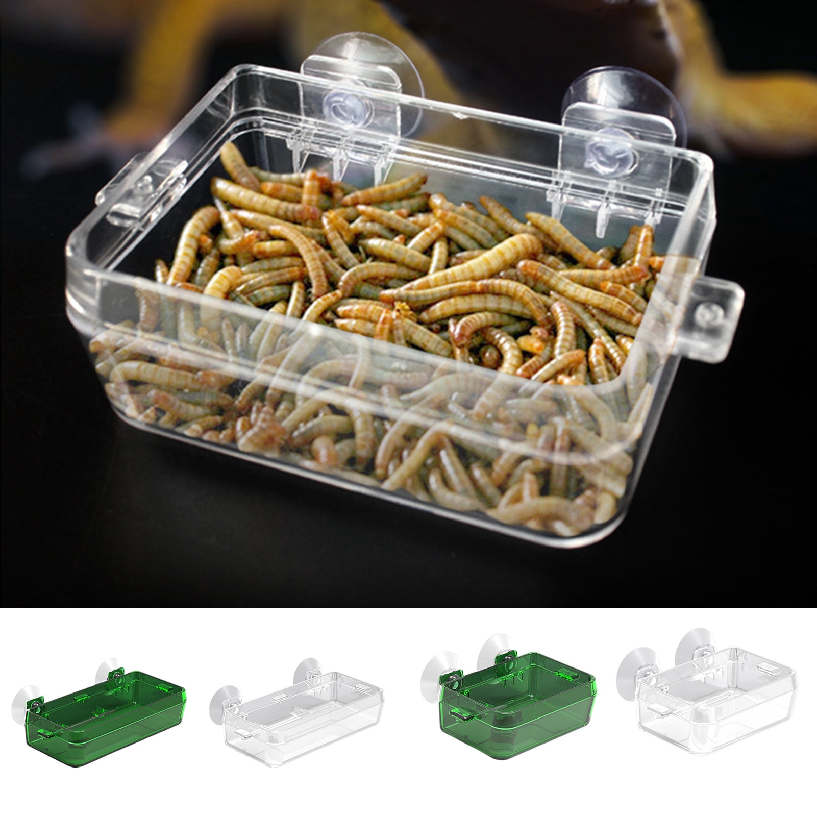 Waroomhouse Crawling Pet Feeder Anti-escape Suction Cup Fixed Not Easy ...