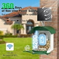Bird Feeder with Camera 3W Solar Powered Panel: Smart Bird Feeder for ...