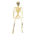 Halloween Skeleton LED Light Up Pose Stay Halloween Skeleton Full Body ...