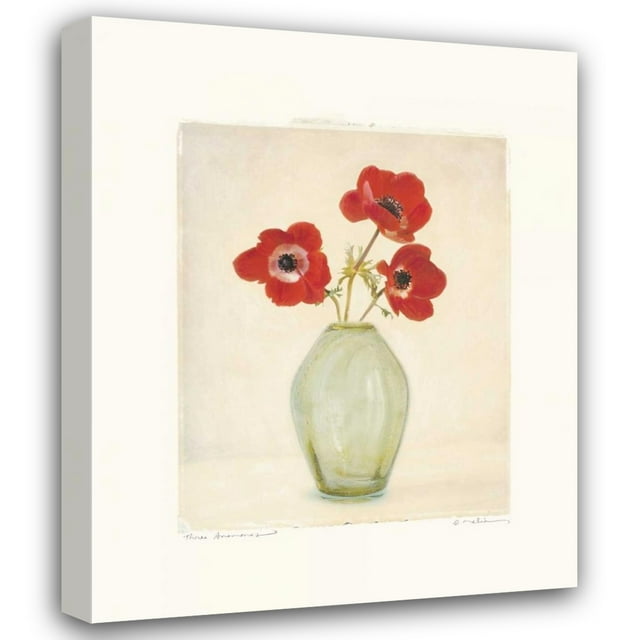 Amy Melious 15x18 Gallery Wrapped Canvas Wall Art Titled - Three ...