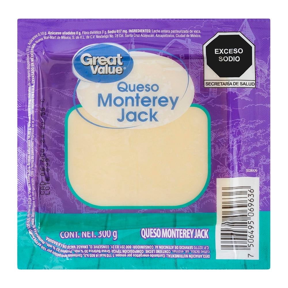 Queso monterrey jack Great Value natural bloque 300 g | Walmart en línea