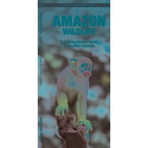 Saltwater Fishing Essentials : A Waterproof Folding Guide to Gear ...