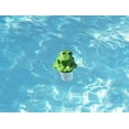 Poolmaster Pool Frog Floating Swimming Pool Chlorine Dispenser ...