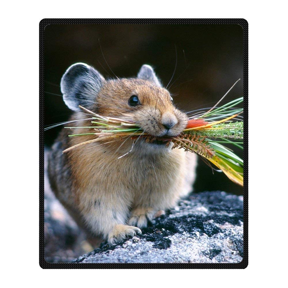 CADecor Mouse Blanket Fleece Throw Blanket for Sofa or Bed 58x80 inches ...
