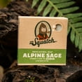 Dr Squatch Mens Natural Shampoo Conditioner And 5 Pack Bar Soap Pine