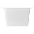 Proflo Pflt1720d 20" Drop In Single Basin Smc Laundry Sink - White ...