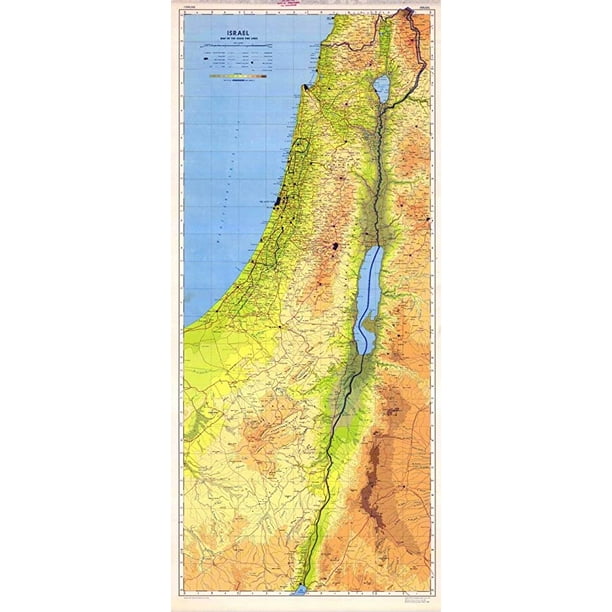 Iconic Arts Laminated 24x54 Poster: Physical Map - Maps of Israel ...