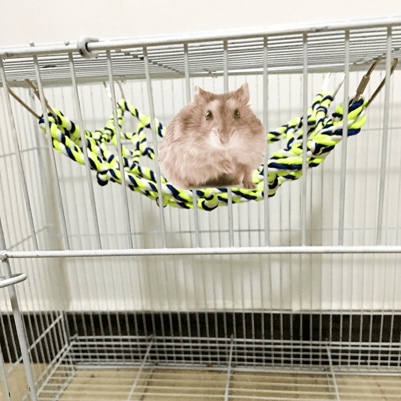 Small Pet Toy, Parrot Perch Net Parrot Bird, Hamster, Squirrel Swing ...