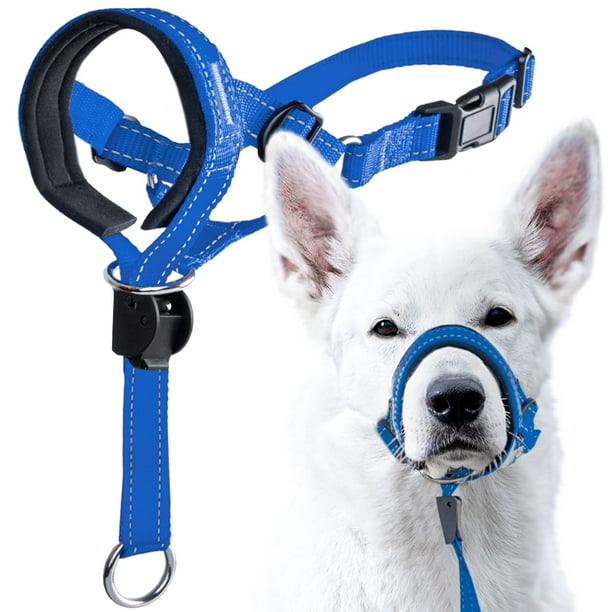 goodBoy Dog Head Halter with Safety Strap - Stops Heavy Pulling On The ...
