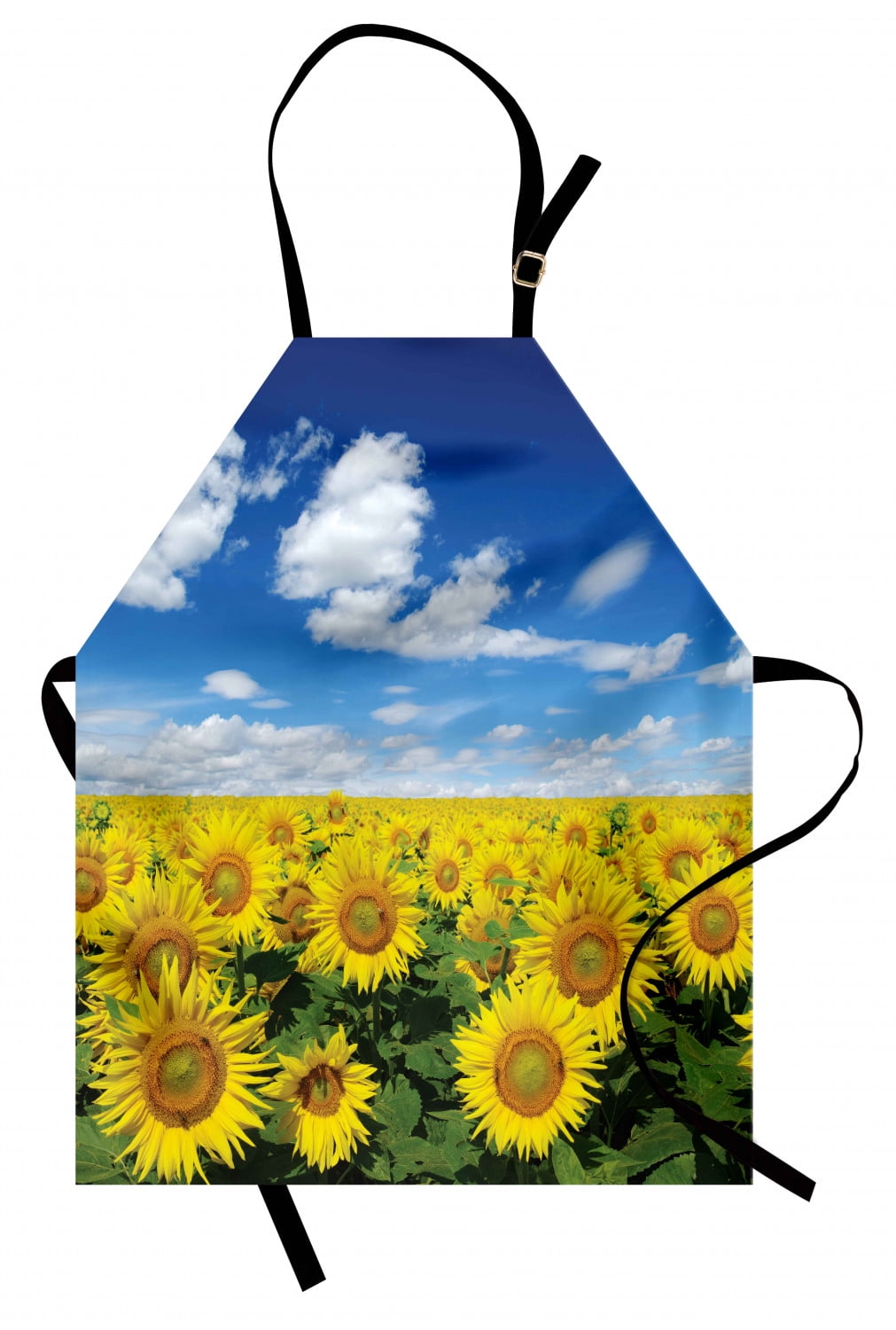 Sunflower Apron Fresh Sunflowers Field under Clear Sky Clouds ...