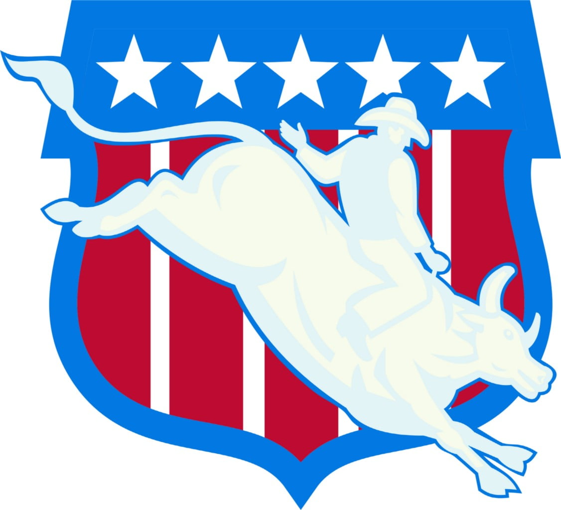 Design With Vinyl Artwork animals Stars And Stripes Bull Rider Rodeo ...