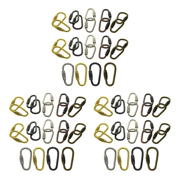 Redempat 24 Pieces D Ring Locking Carabiner Keychain Mini Snap Hooks ...