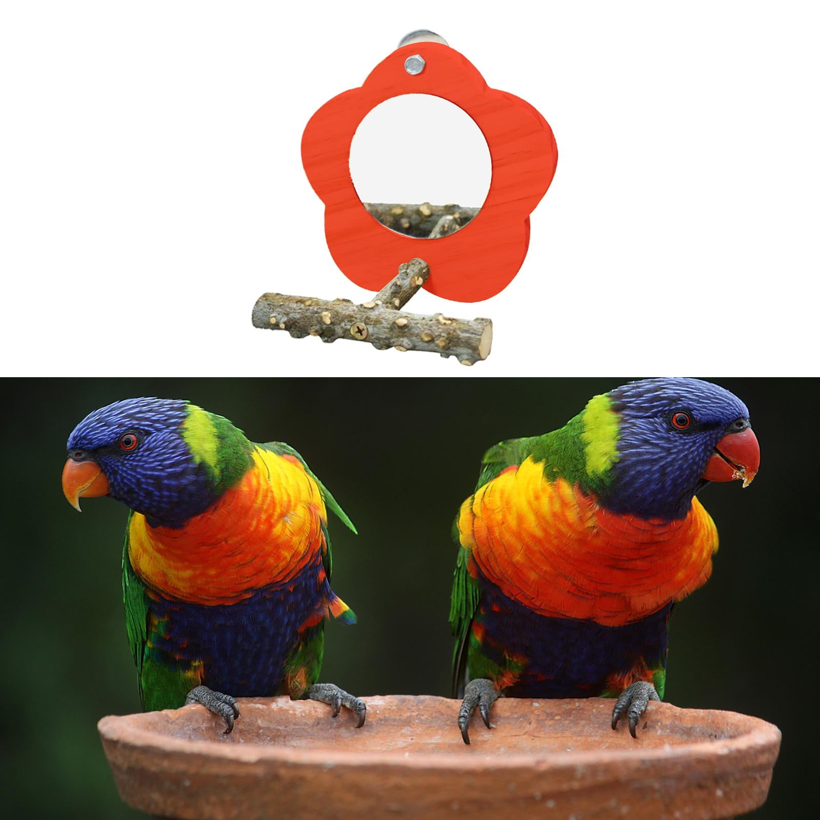 Bird Parakeet Mirror for Cage, Parrot Perch Stand, Wooden Toy, for ...