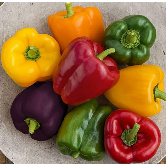 300+ Rainbow Blend Sweet Bell Pepper Seeds for Planting - Walmart.com