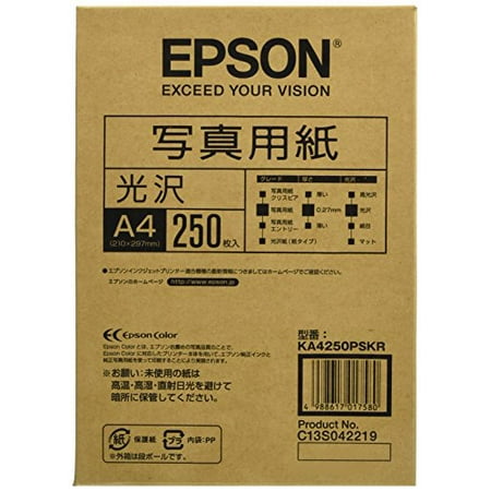 Epson Copy Paper Photo Paper Glossy 250 Sheets A4 KA4250PSKR | Walmart ...