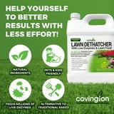 Liquid Lawn Dethatcher, Aerator and Soil Conditioner, 32 oz, Safe for ...