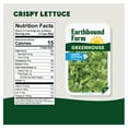 Earthbound Farm Ebf Greenhouse Crisp Lettuce 8oz - Walmart.com